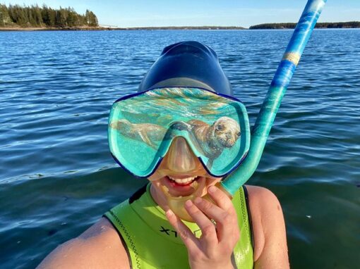 This Eco-Artist Recycles Park Trash Into Impressionist Art - US Park Pass