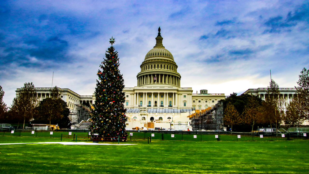 The U.S. Capitol Christmas Tree's Unique Connection to Our Public Lands