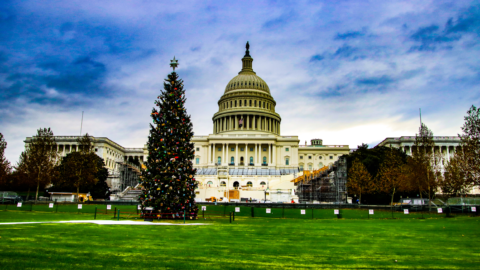 The U.S. Capitol Christmas Tree's Unique Connection to Our Public Lands