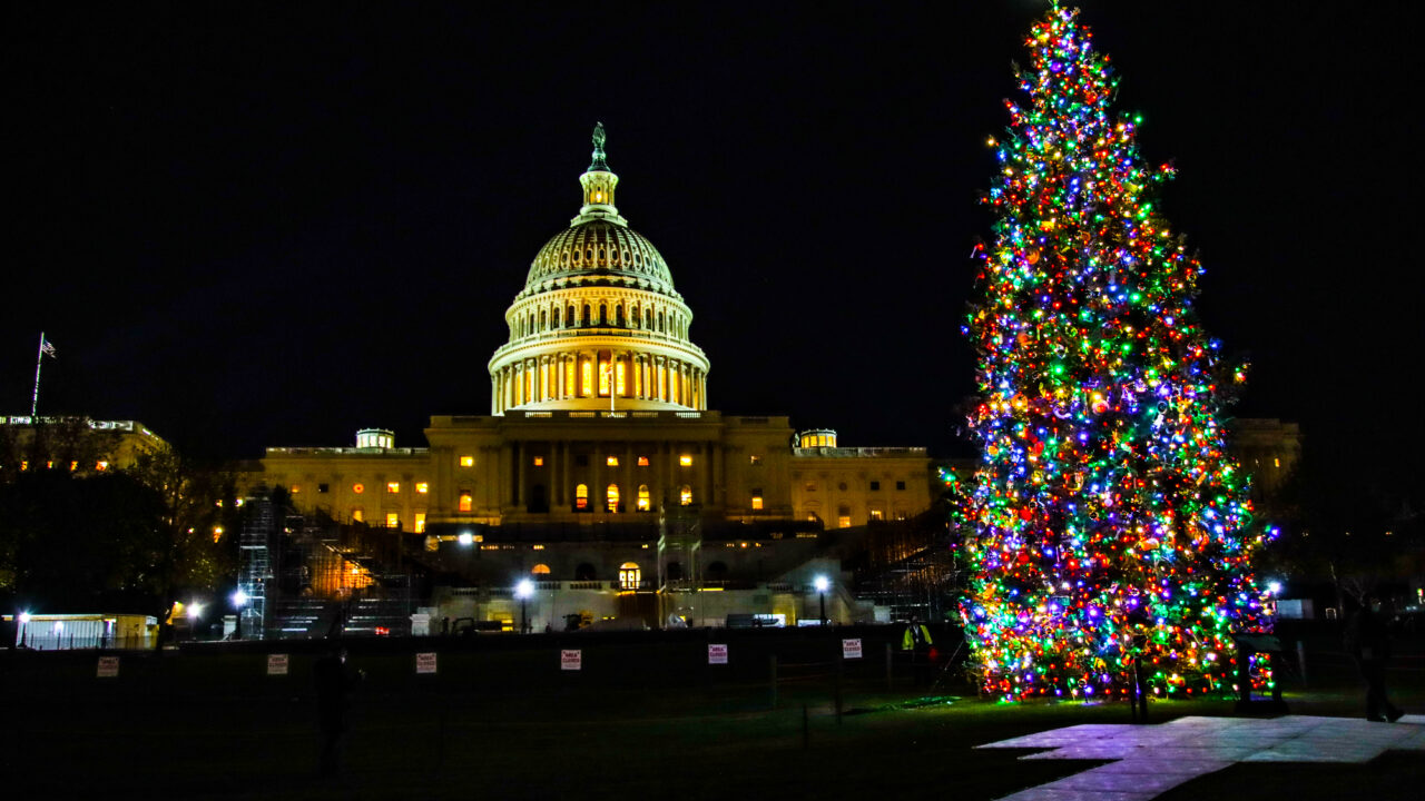 The U.S. Capitol Christmas Tree's Unique Connection to Our Public Lands